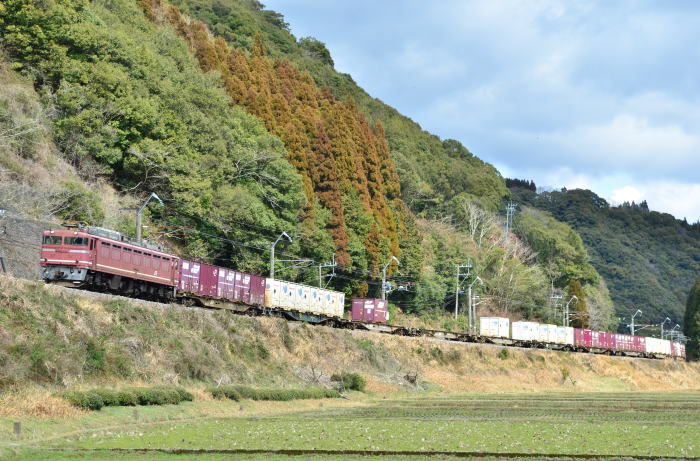 -Senti-G- 延岡貨物 備忘録